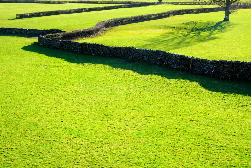 A Pattern of Bright Green Empty Grazing Fields with Short Grass Stock ...
