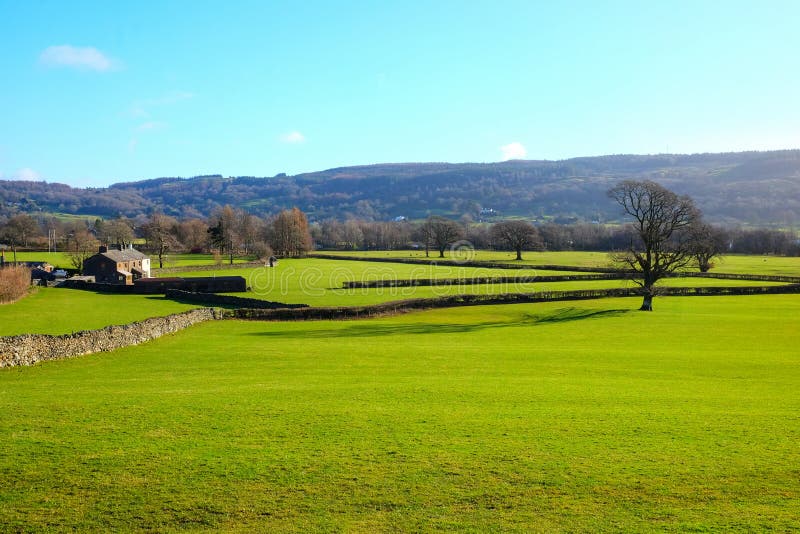 A Pattern of Bright Green Empty Grazing Fields with Short Grass Stock ...