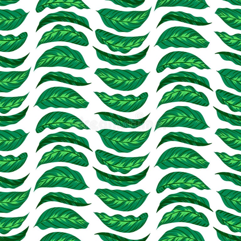 Husta Leafs Stock Illustrations – 1 Husta Leafs Stock Illustrations ...