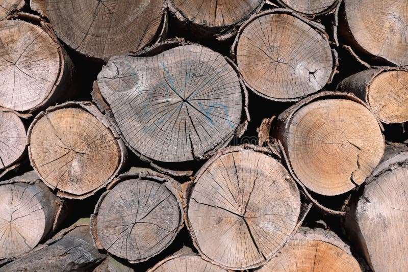 Pattern of Brown Wood Log Background Texture Stock Photo - Image of ...