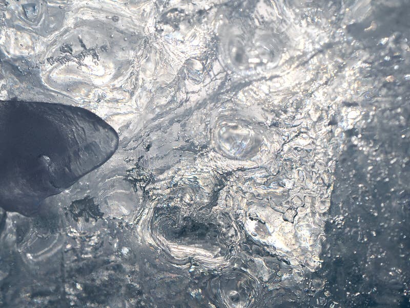 Pattern from Bubles and Light on the Ice Surface. Stock Image - Image ...