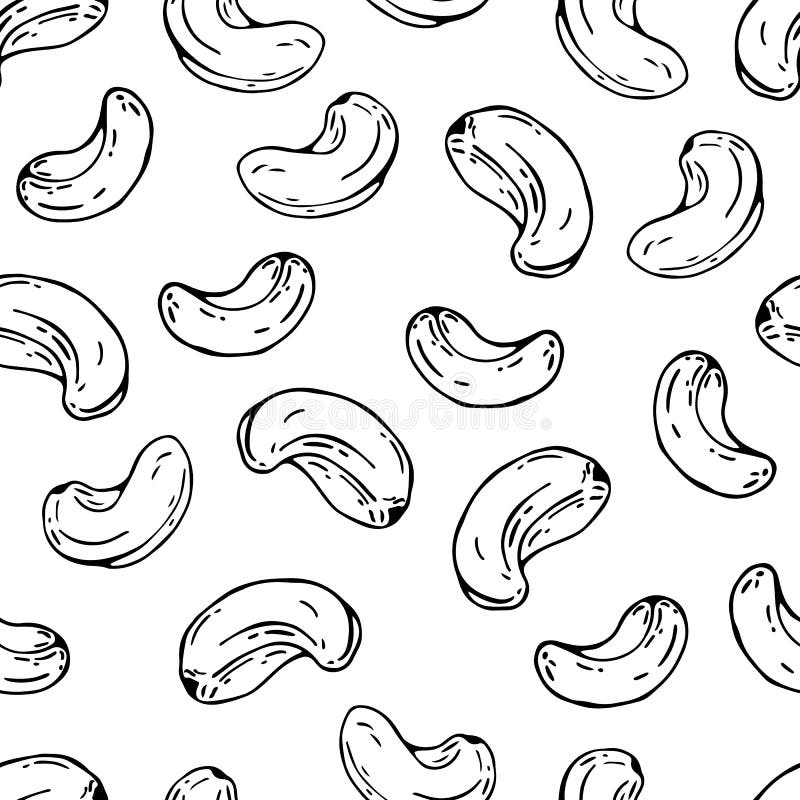 Pattern cashew sketch stock vector. Illustration of cashew - 131726454