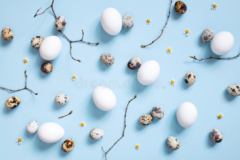 Pattern of Chicken and Quail Easter Eggs and Branches Stock Image ...