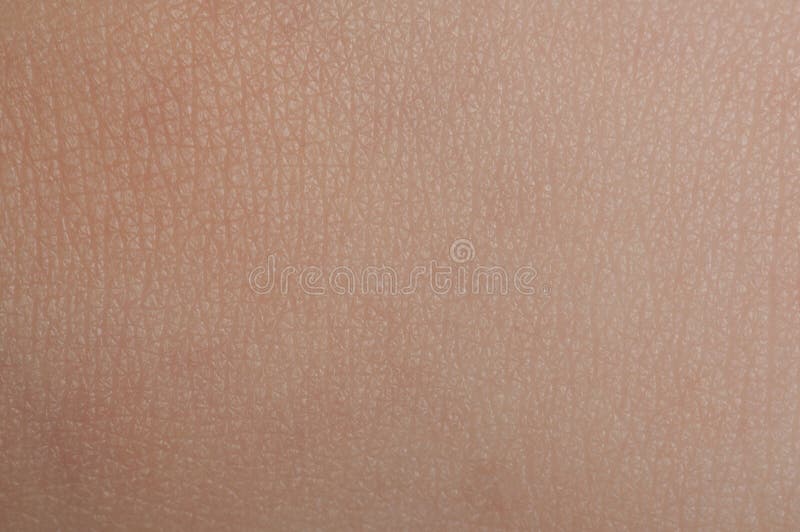 Pattern of Clean Health Skin Texture Stock Photo - Image of skin ...