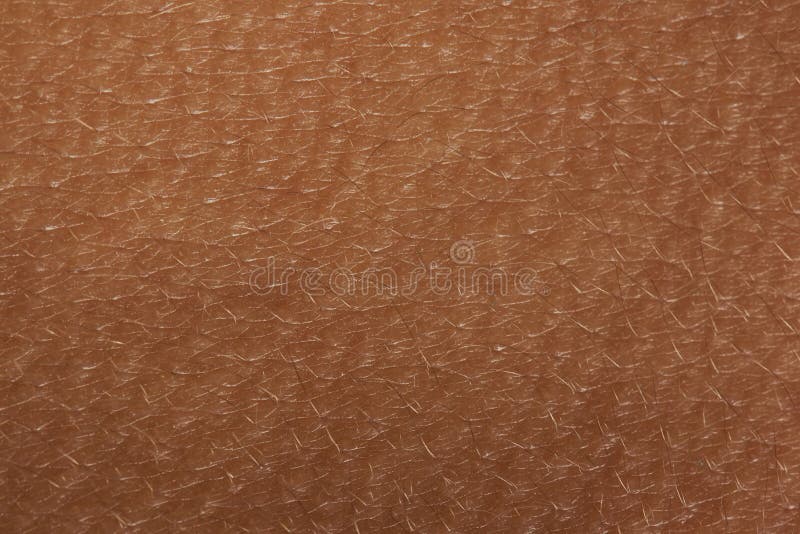 Pattern of Clean Human Skin Stock Photo - Image of dermatitis, health ...