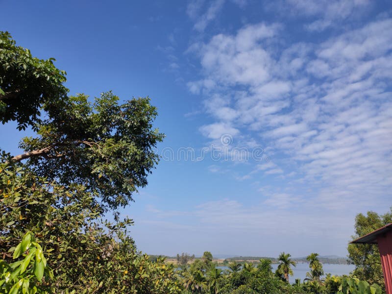 Pattern Clouds on Blue Sky, Natures Window Stock Photo - Image of palm ...