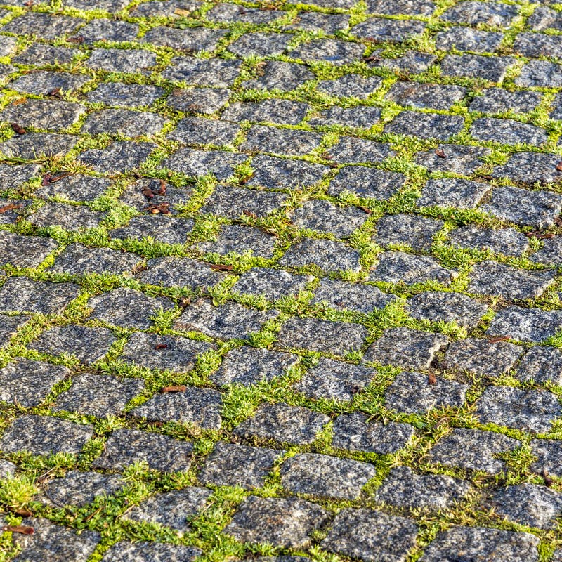 Pattern of Cobble Stones with Moss Stock Image - Image of pattern ...