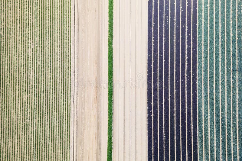 Pattern of Colorful Fields Top Down View at Bakersfield, California ...