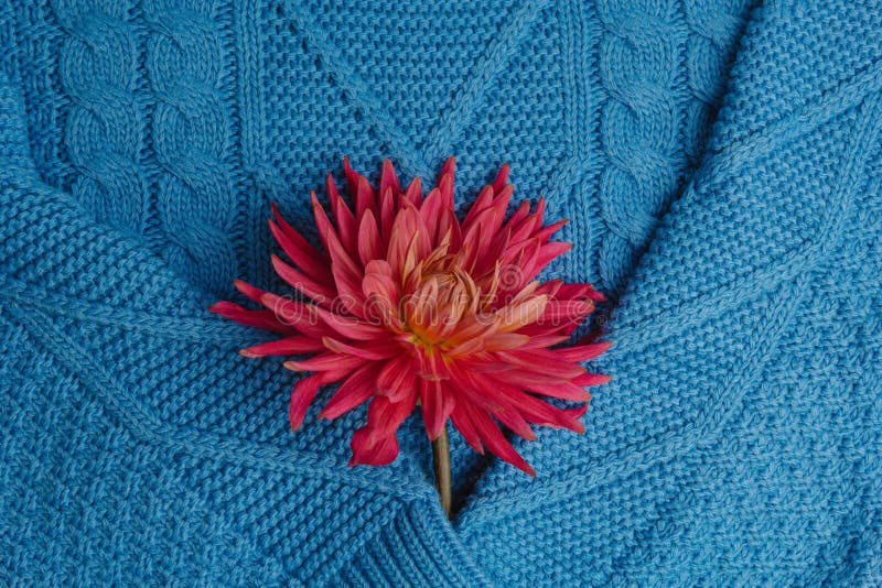 Pattern of Colorful Knitted Sweaters Closeup. Handmade Merino Wool ...