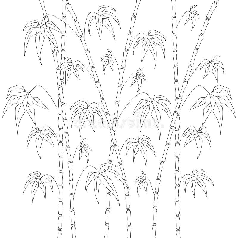 Pattern for Coloring Book. Background with Bamboo Stems Stock Vector ...
