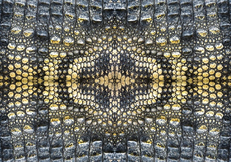 Pattern of crocodile skin. stock illustration. Illustration of detail ...