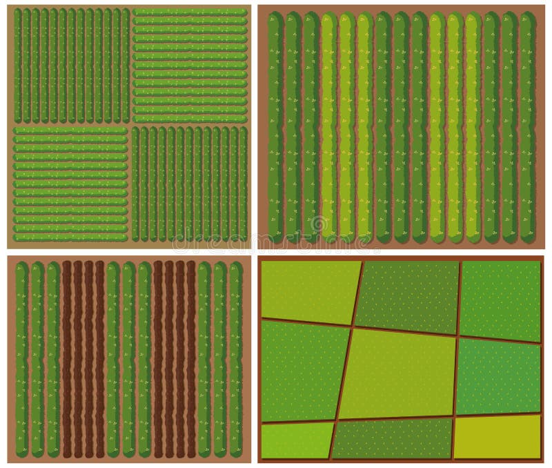 Pattern of Crops from Top View Stock Vector - Illustration of farm ...