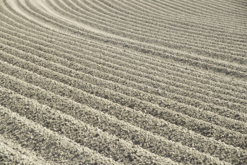 Pattern stock image. Image of meadow, scene, pattern - 40023489