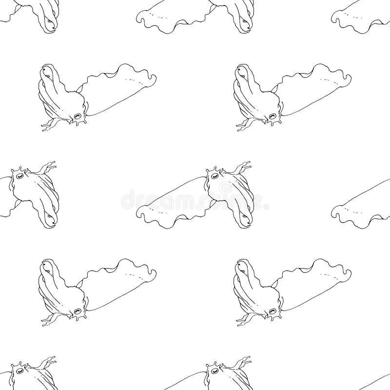 Cuttlefish Outline Stock Illustrations – 394 Cuttlefish Outline Stock ...