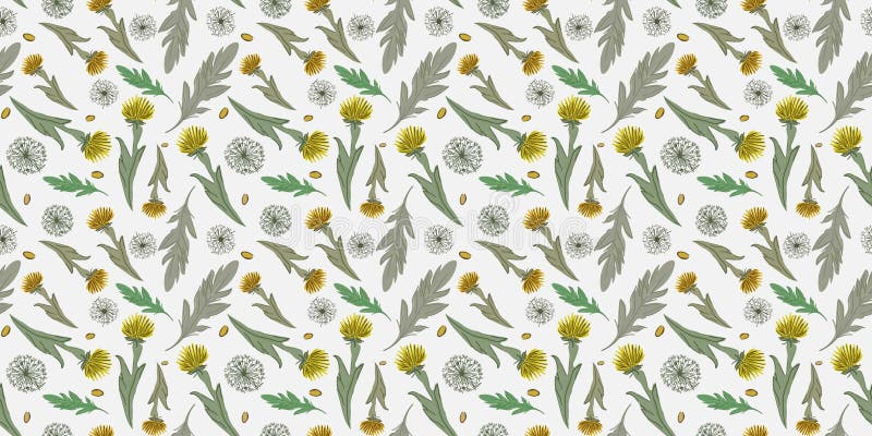 Pattern with Dandelions, Leaves, and Seeds on a White Background in Boho Style Stock ...