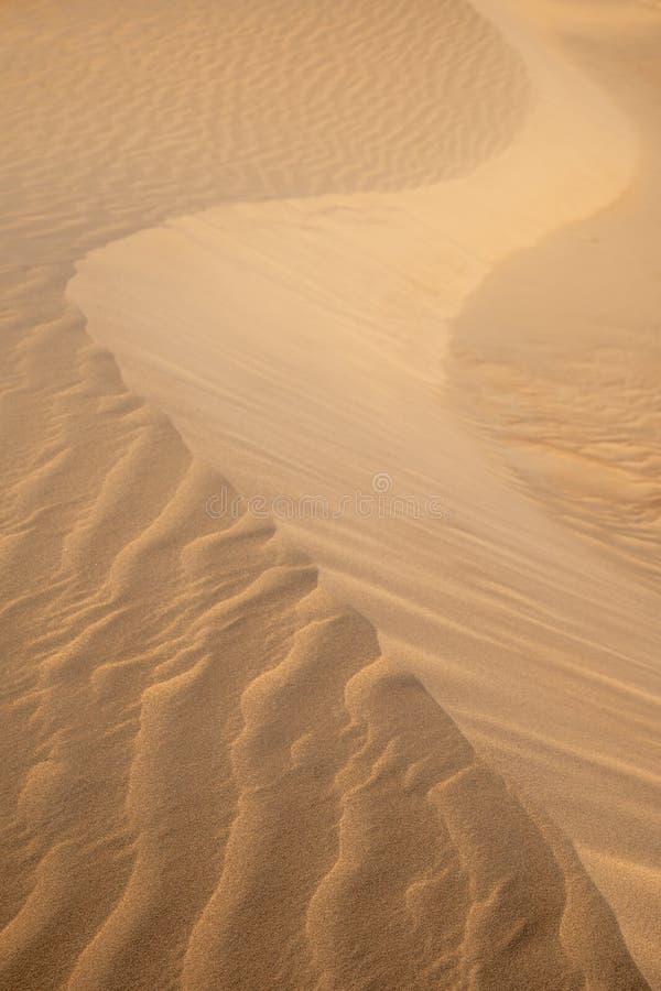 Pattern in the Desert stock photo. Image of sahara, flooring - 375119016