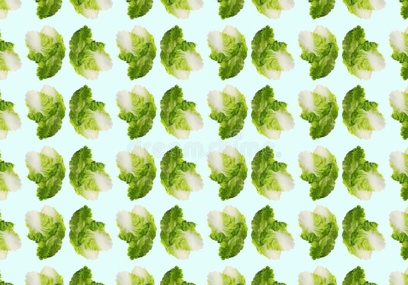 Pattern Design with Fresh Chinese Cabbage Leaves on Pale Light Blue ...