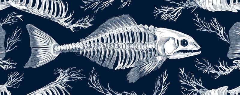 The Pattern on Display is a White Fish Skeleton Set Against a Dark Teal ...