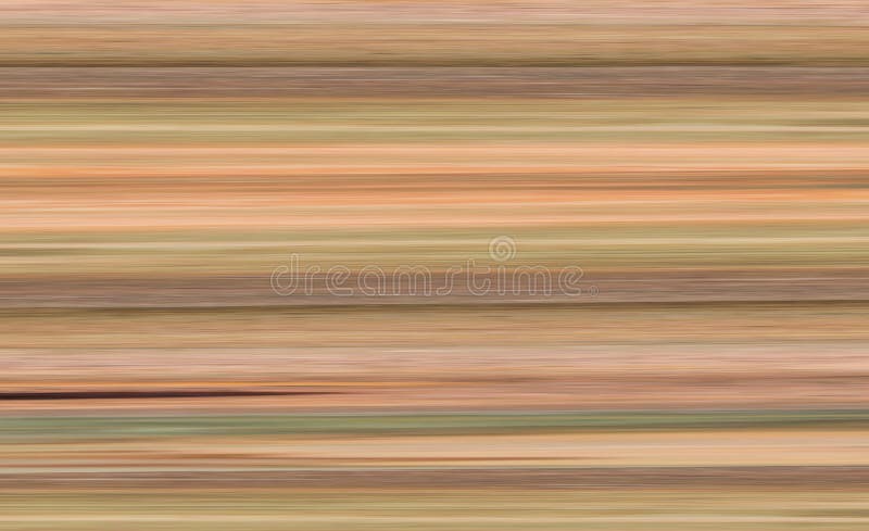 Pattern Drawing Light Colored Texture Tree Stock Photo - Image of ...