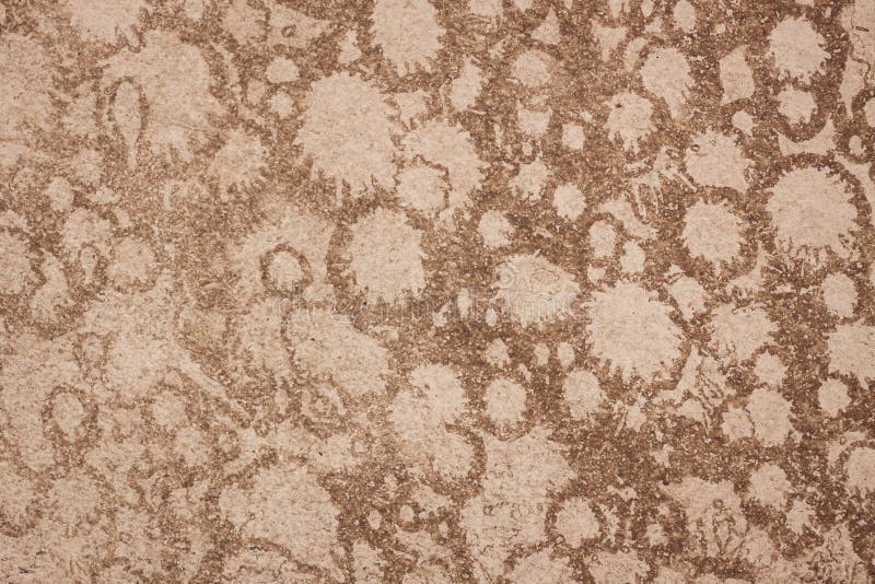 Pattern of the Dried Clay Texture on Wall , Close-up Stock Photo ...
