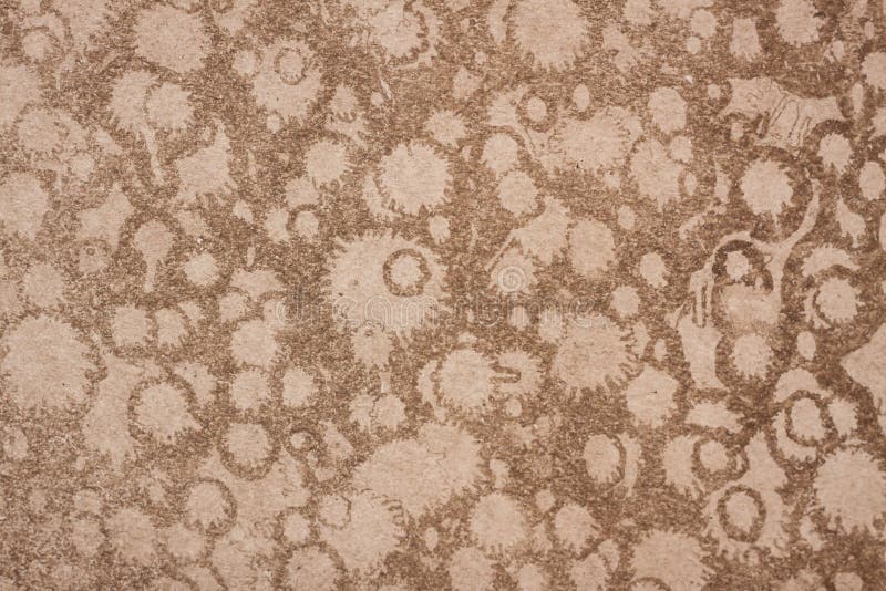 Pattern of the Dried Clay Texture on Wall , Close-up Stock Photo ...