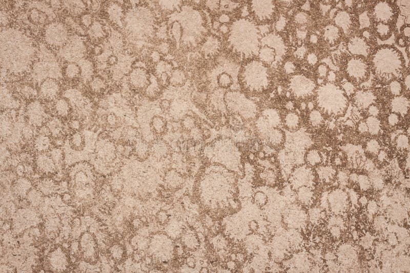 Pattern of the Dried Clay Texture on Wall , Close-up Stock Photo ...