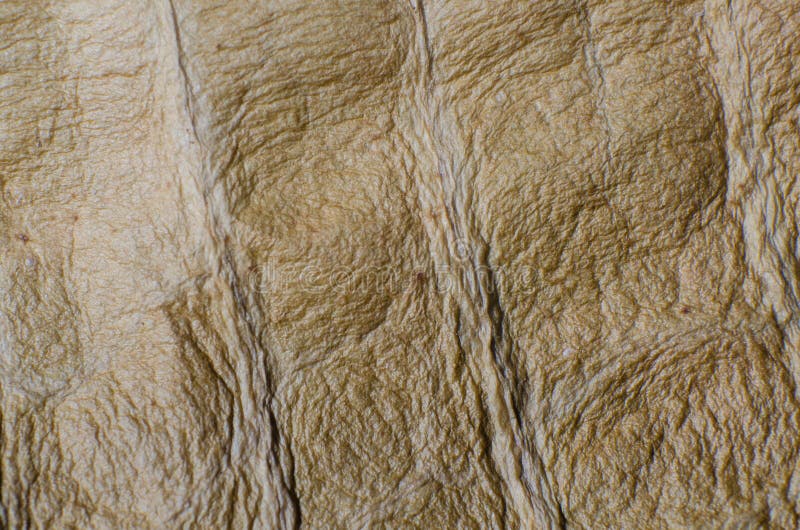 Pattern of Dry Brown Leaves Stock Image - Image of background, foliage ...