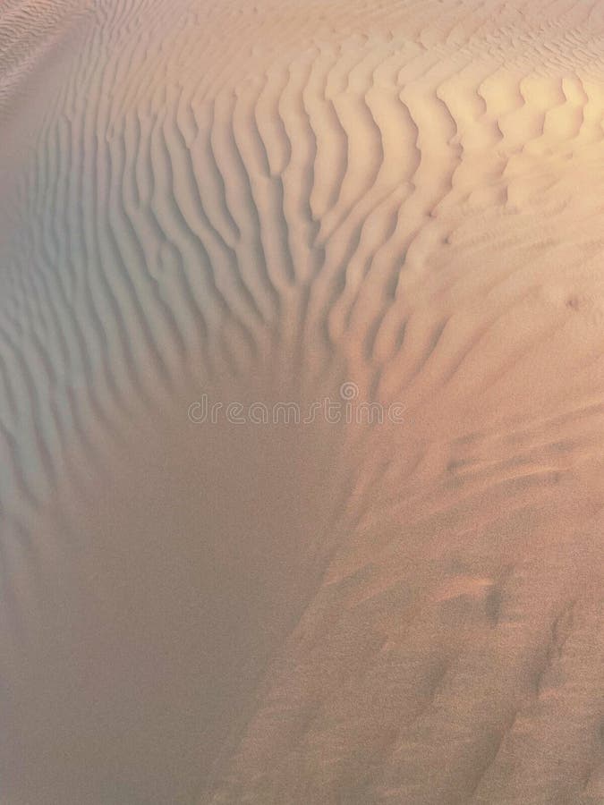 Pattern on Dune in Desert at Sunset Stock Photo - Image of pattern ...