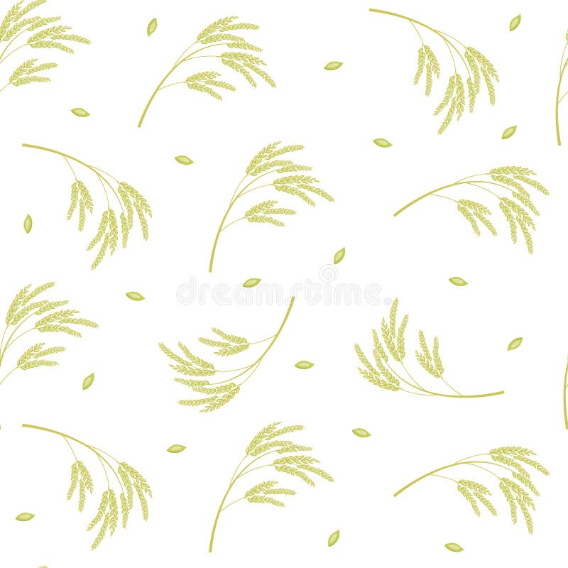 Pattern of Ears of Corn on a White Background. Seamless Composition of ...