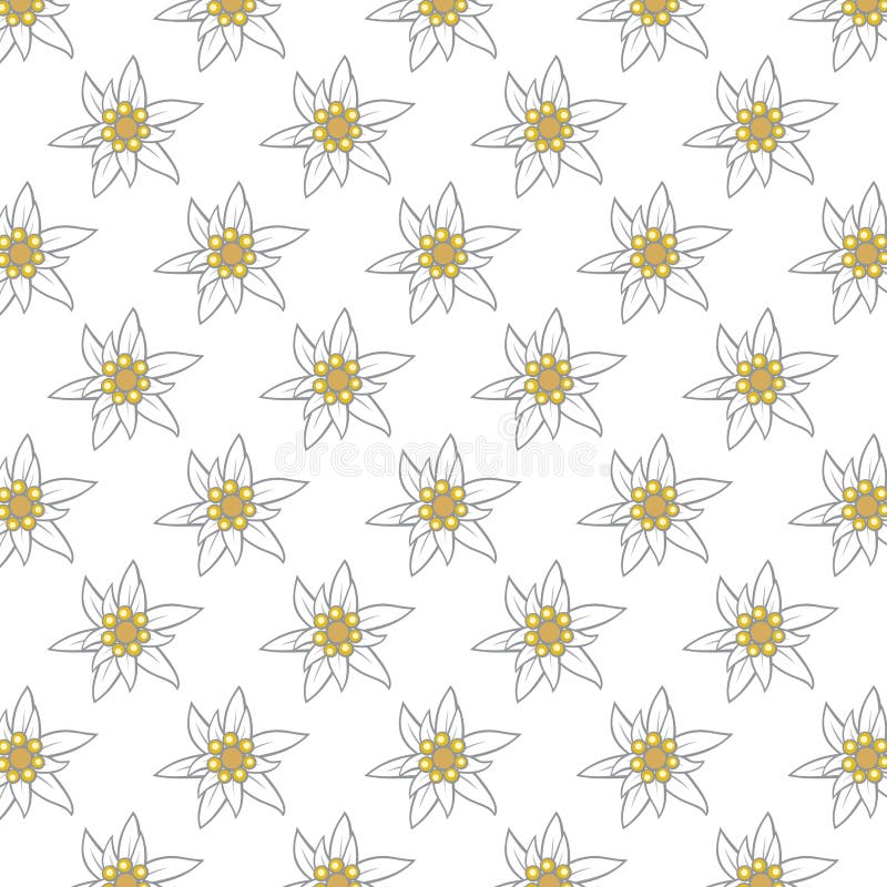 Edelweiss Illustration, Drawing, Engraving, Ink, Line Art, Vector Stock ...
