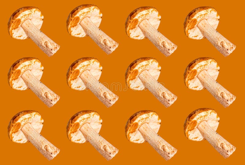 Pattern with an Edible Mushroom Rim on an Orange Background Stock Image ...