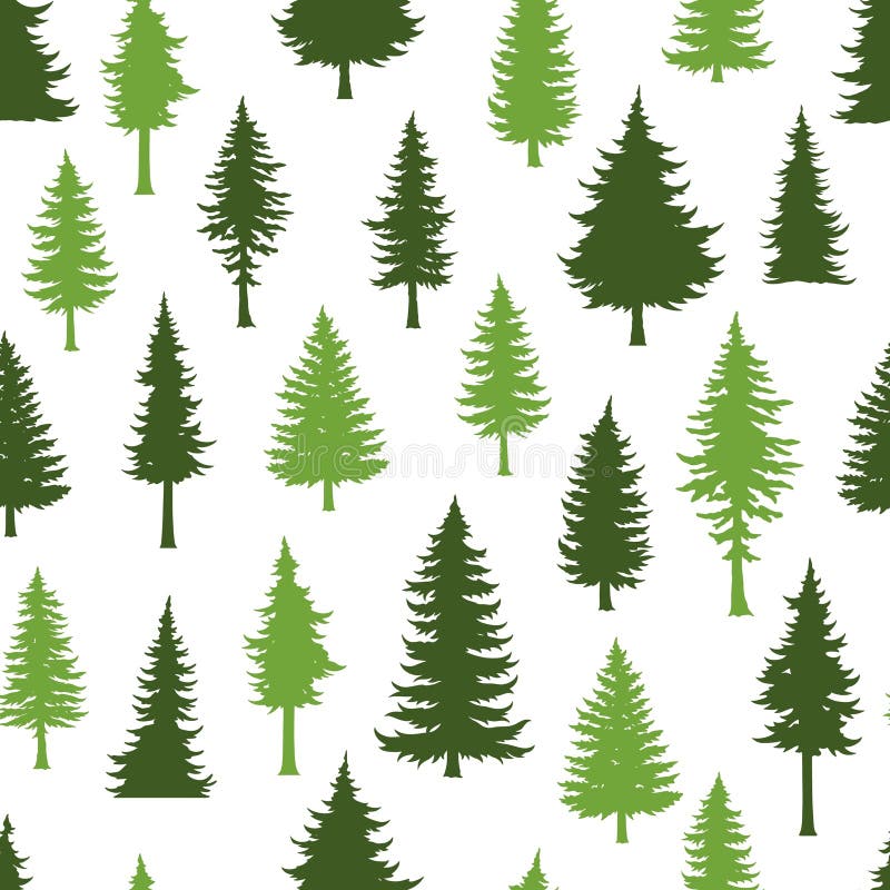 Pattern of Evergreen Trees on a White Background Stock Vector ...