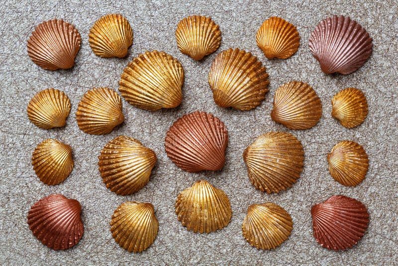 Pattern of Exotic Seashells in Gold Color Stock Photo - Image of gold ...
