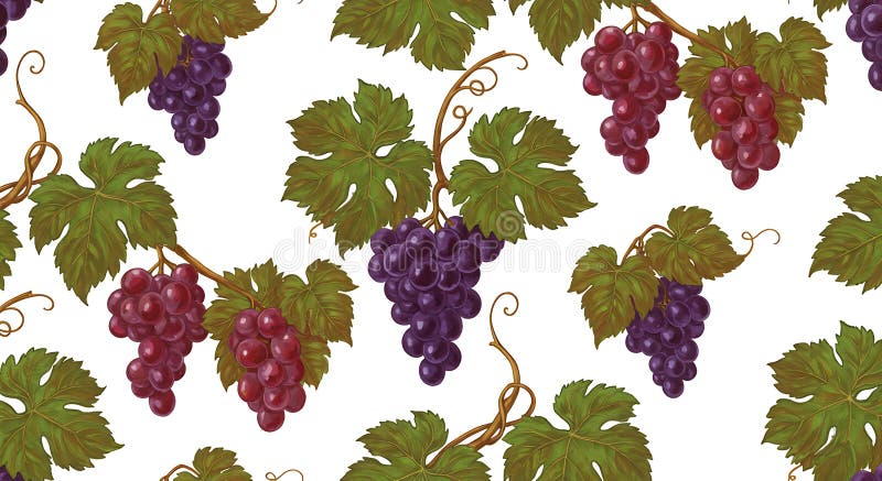 Pattern Featuring Clusters of Red and Purple Grapes with Detailed Green ...
