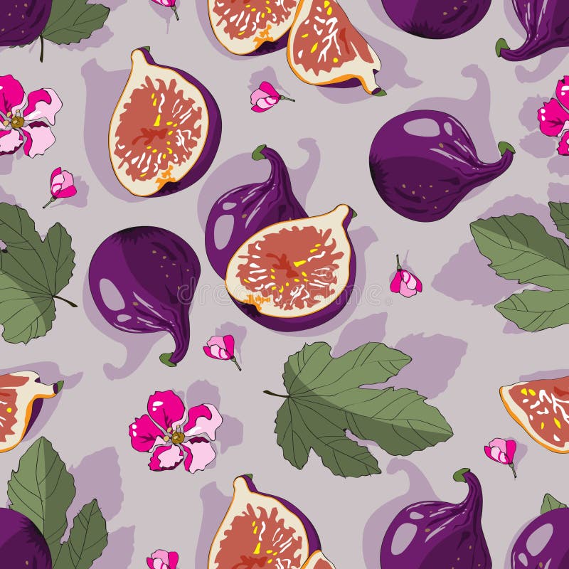 Pattern with Figs for Your Design. Stock Vector - Illustration of shirt ...