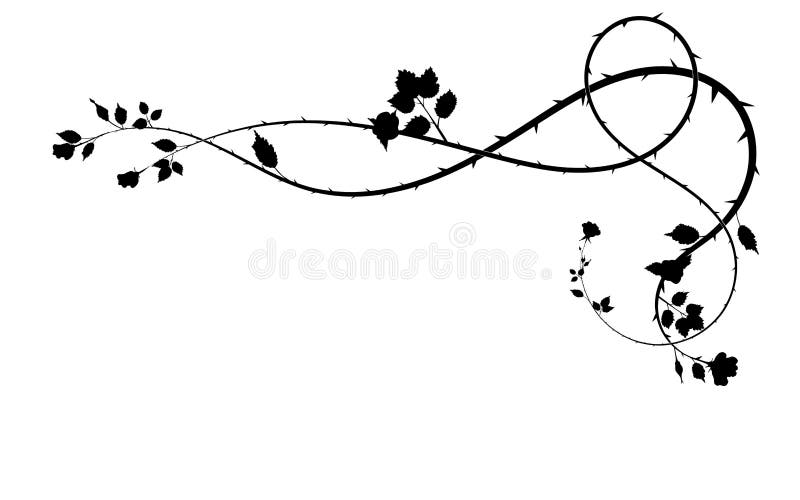 Pattern of Flowers of a Rose and Its Leaves Scroll Stock Vector ...