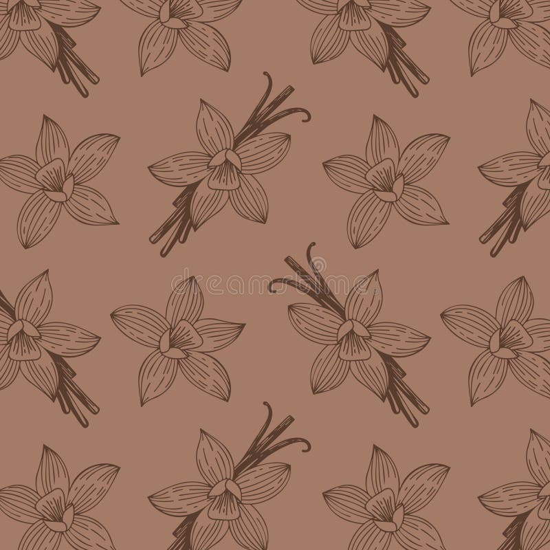 Pattern with Flowers and Vanilla Sticks on Mocha Mousse Background ...