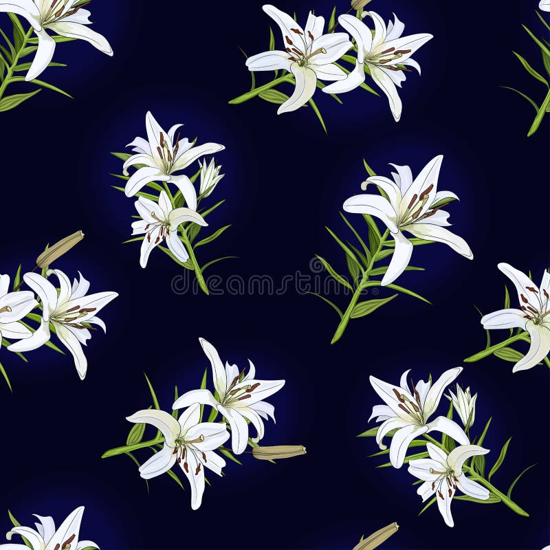 Pattern with Flowers of White Lily on a Blue Background. Vector Stock ...