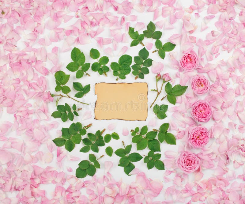 Pattern of Fresh Roses with Vintage Blank Card Stock Image - Image of ...