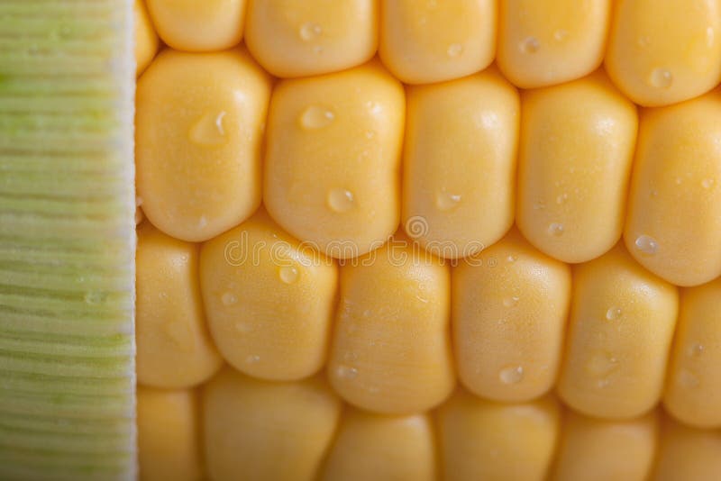 Pattern of Fresh Sweet Corn Stock Image - Image of gold, rustic: 85298999