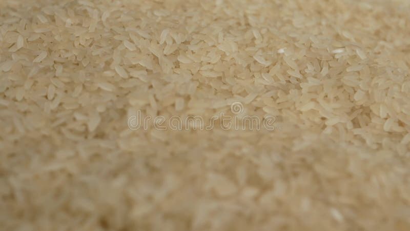 A Pattern of Grains of Peeled White Rice. Stock Footage - Video of ...