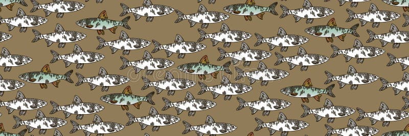 A Pattern of Graphic White Fish with a Contour and Colored Fish with a ...