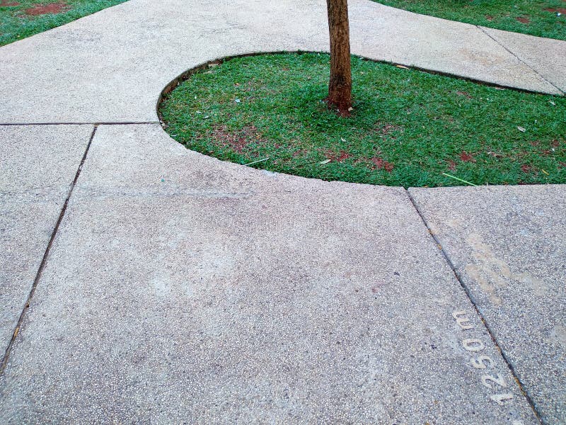 Pattern of Grass and Concrete Floor at City Park Stock Photo - Image of ...