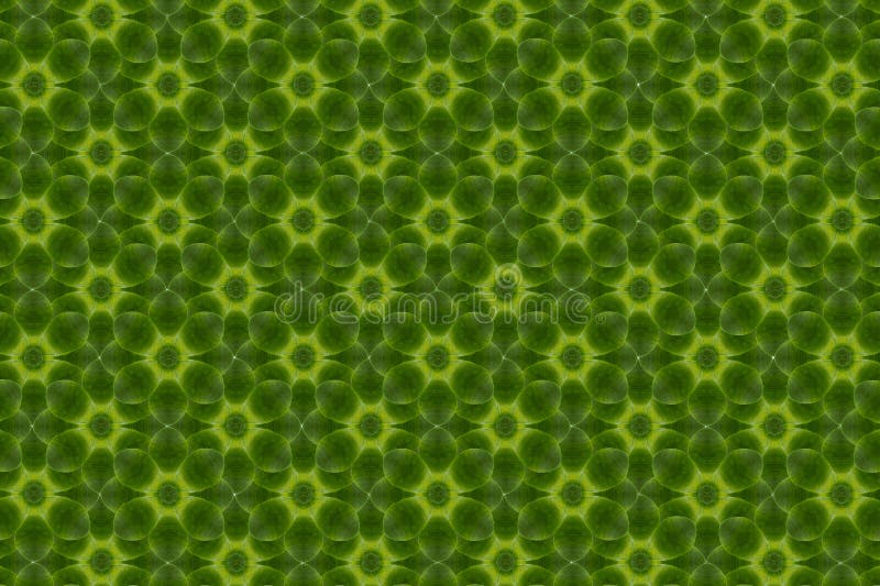 Pattern green flower stock photo. Image of concept, arrangement - 42857698