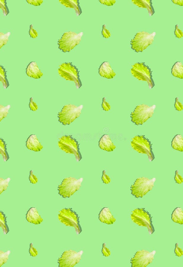 A Pattern with Green Lettuce Leaves on a Light Green Background ...