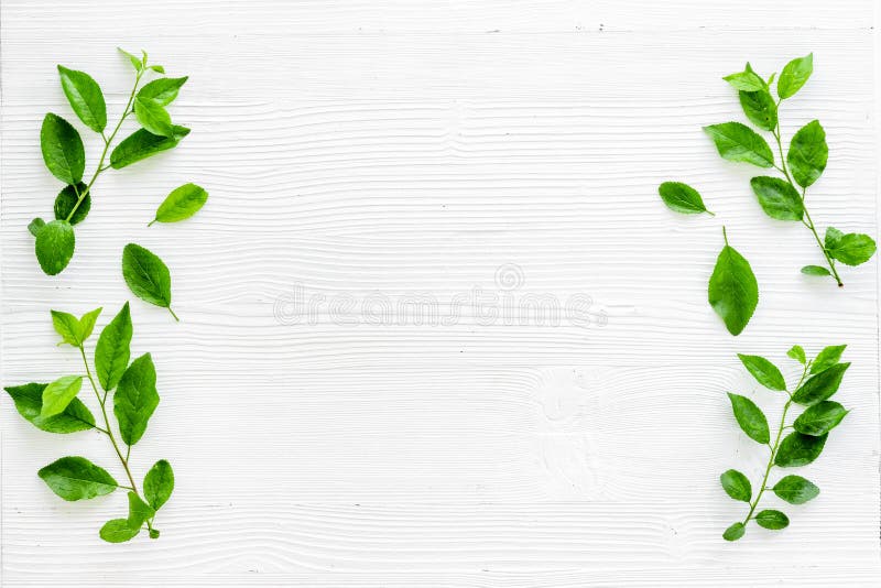 Pattern of Green Tree Leaves, Nature Background. Overhead View, Flat ...