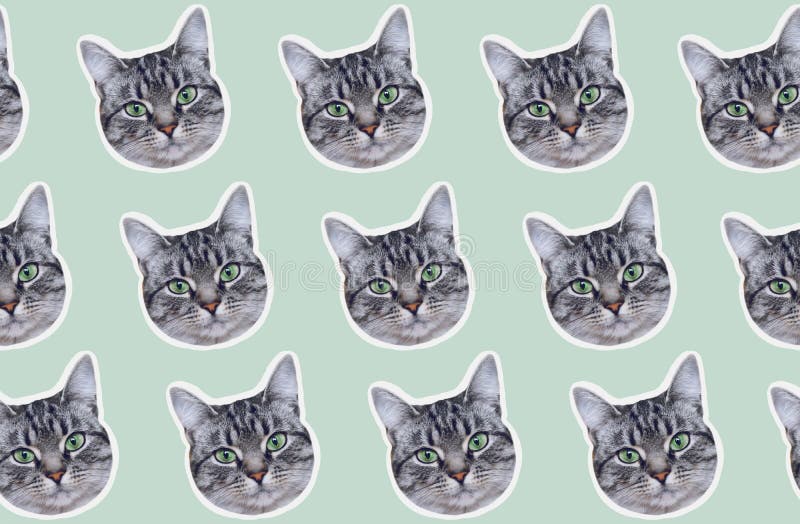 Cats Collage Background