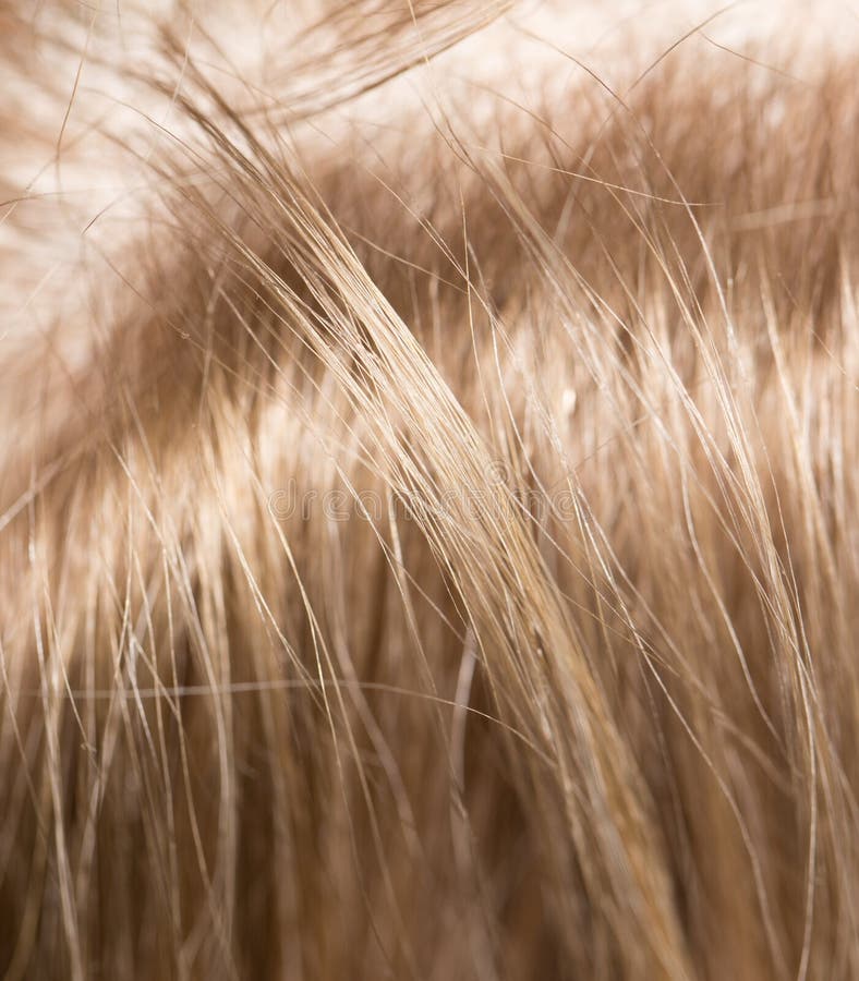 Pattern of hair stock image. Image of healthy, hair - 101376577