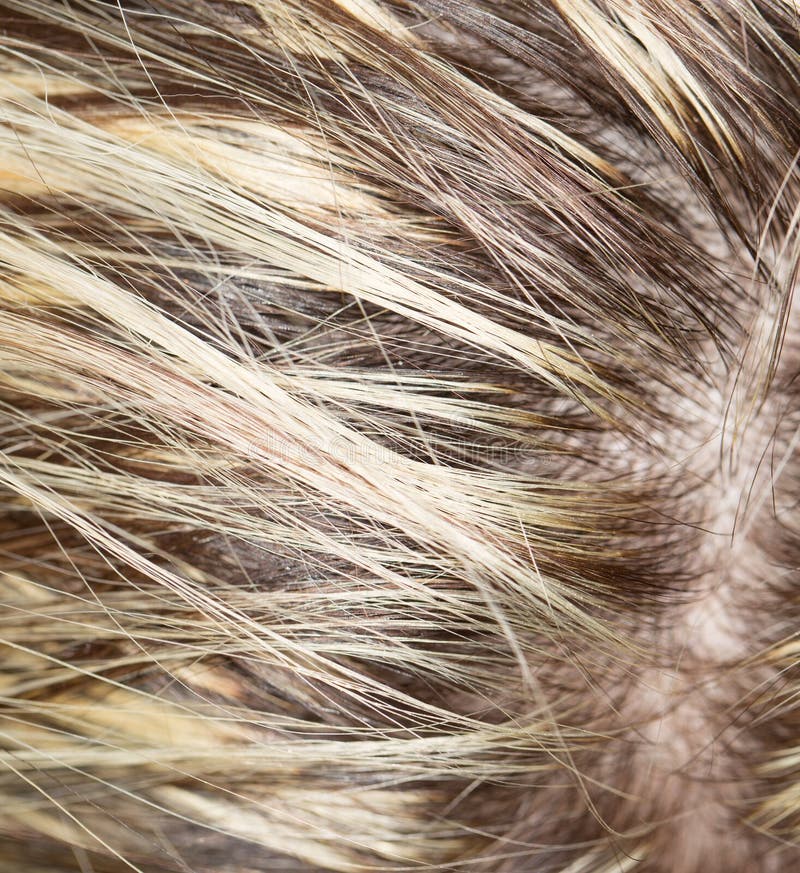 Pattern of hair stock photo. Image of hair, beauty, extension - 101376670