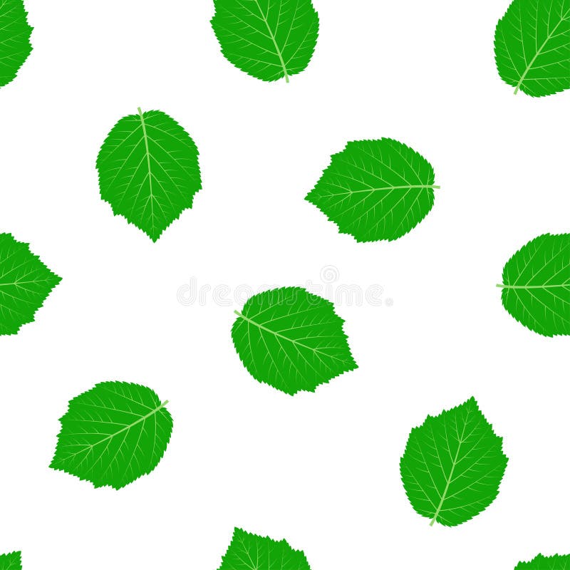 Pattern with Hazel Leaves Isolated on White Stock Vector - Illustration ...